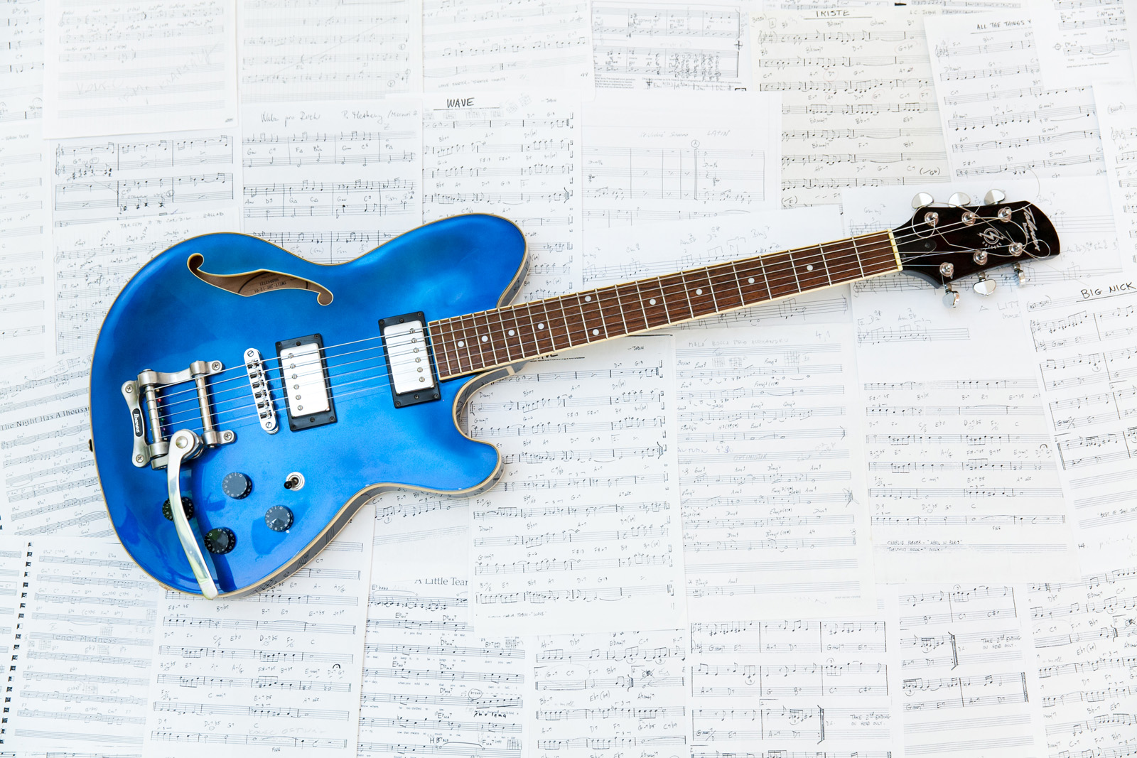 Elektrická kytara - Základní umělecká škola, Vysoké Mýto